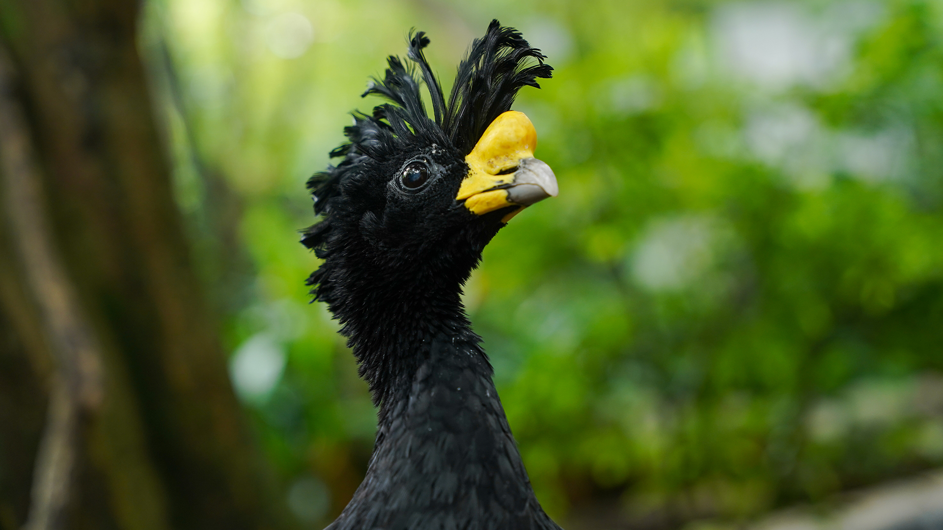 Experiencias Piscilago |Girardot | Colombia