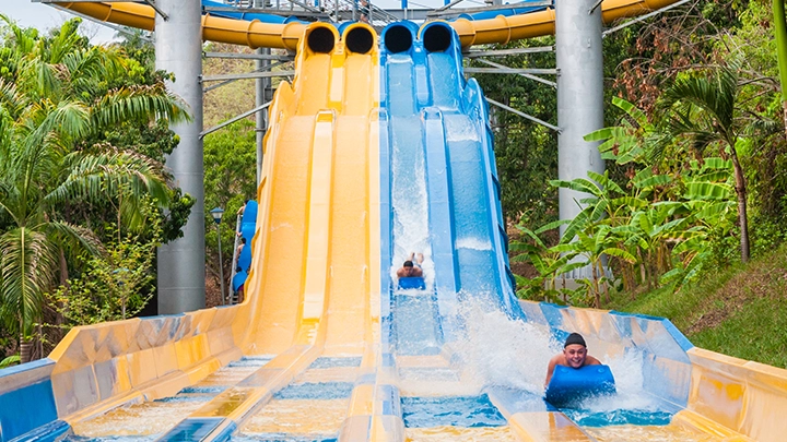 Noticias y Eventos Piscilago| Parque Acuatico y Conservacion