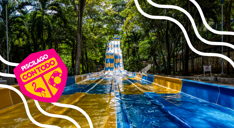 Noticias y Eventos Piscilago| Parque Acuatico y Conservacion