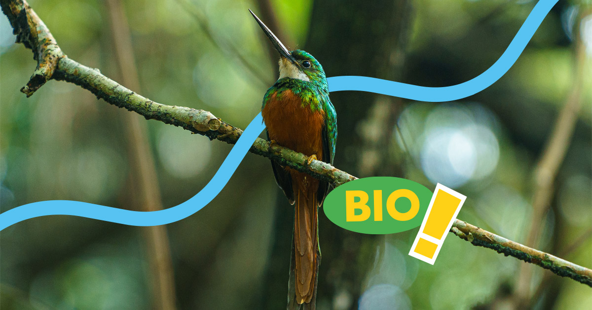 Parque Acuático y Área de Conservación | Piscilago