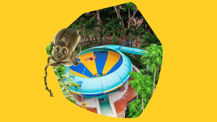 Parque Acuático y Área de Conservación | Piscilago