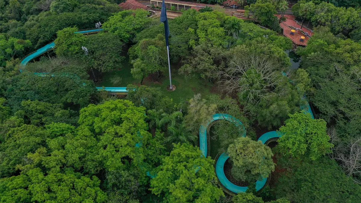Bosque seco tropical | Conserva la vida que florece
